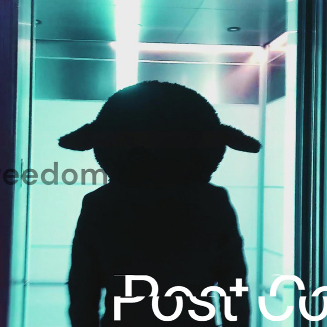 FlyAway Freedom | Spotify