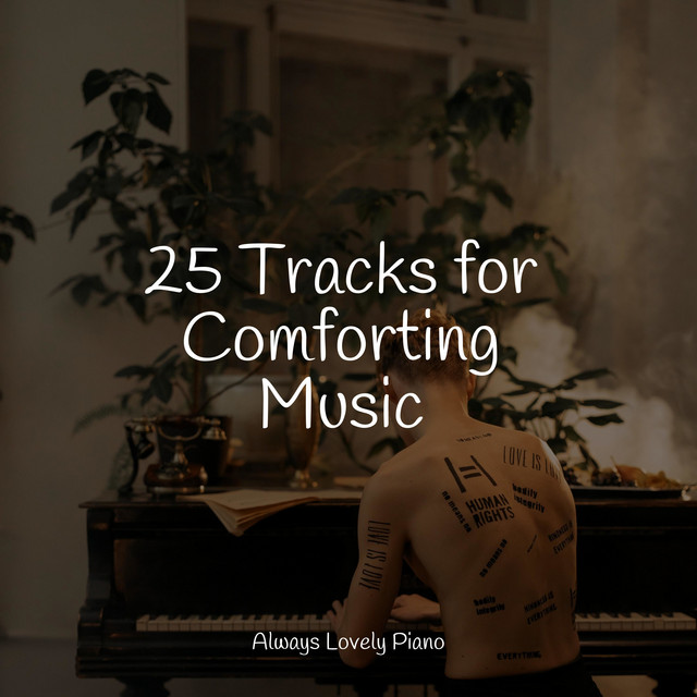 25 Tracks for Comforting Music - Album by Piano Bar | Spotify