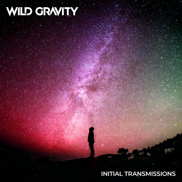 Comatose - song and lyrics by Wild Gravity | Spotify