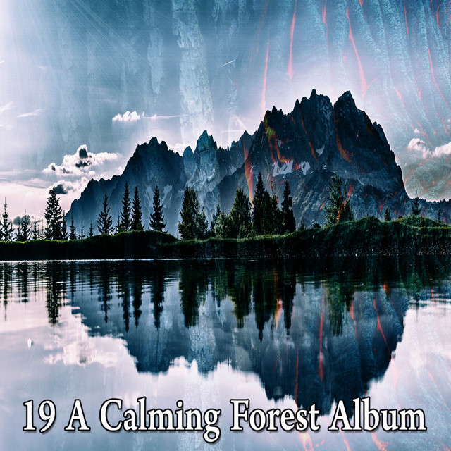 19 A Calming Forest Album ! ! ! ! - Album by Sounds of Nature ...