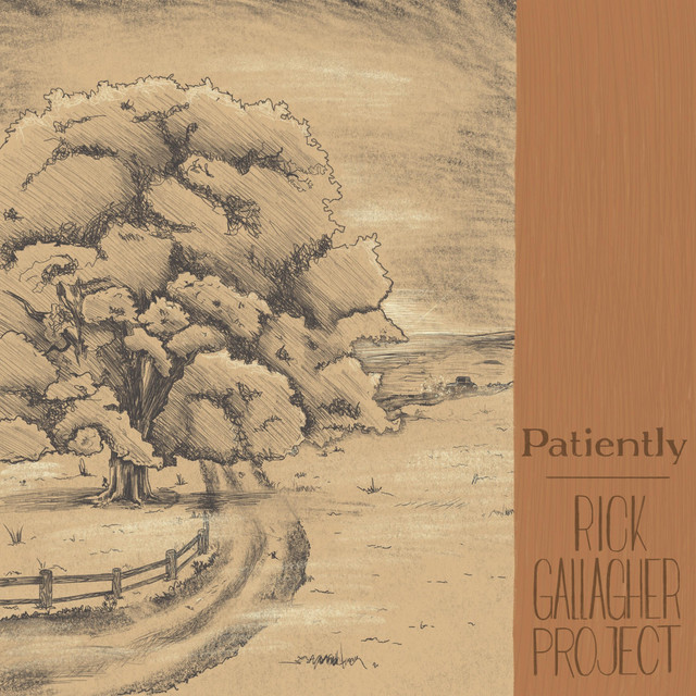 Patiently - Single by Rick Gallagher Project | Spotify