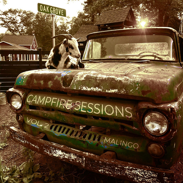 Campfire Sessions, Vol. 2 - Album by Malingo | Spotify