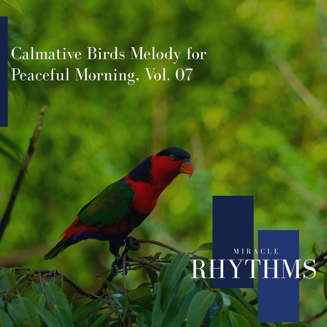 Calmative Birds Melody For Peaceful Morning, Vol. 07 - Compilation by ...