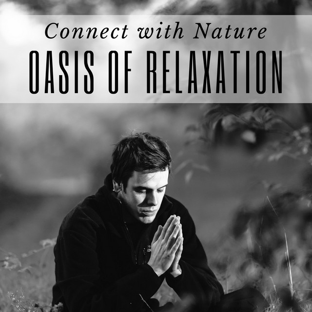 Oasis of Relaxation: Sounds of Nature, Buddhist Meditation, Connect ...