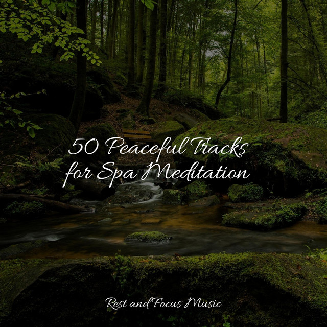 50 Peaceful Tracks for Spa Meditation - Album by Life Sounds Nature ...