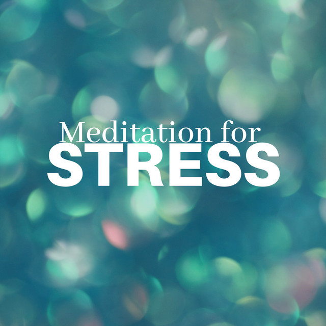 2 Hours Meditation for Stress - Album by Music for the Soul | Spotify