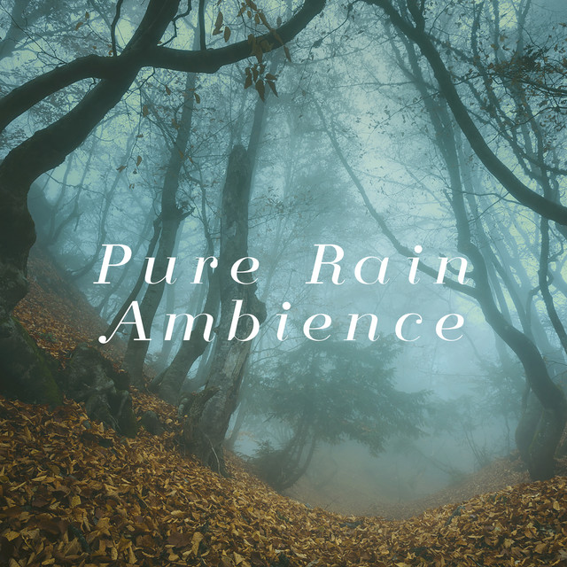 Pure Rain Ambience - Album by Rain | Spotify