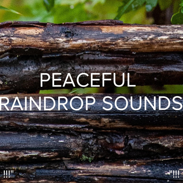 Peaceful Raindrop Sounds Album By Rain Sounds Spotify