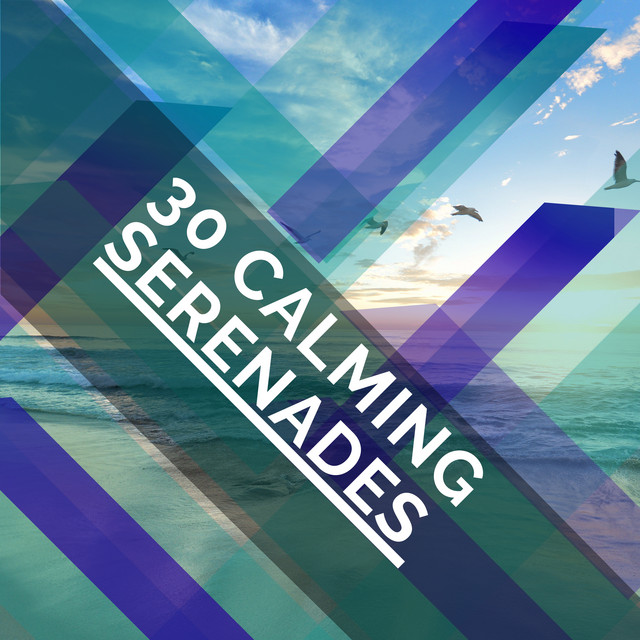 30Calming Serenades - Album by Calm Solitude | Spotify