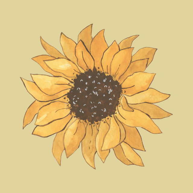Flower Power - Single by Lofi Sofa | Spotify