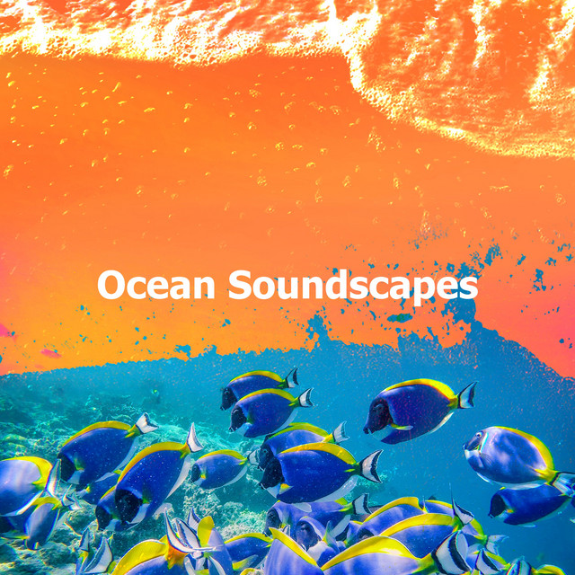 Ocean Soundscapes ! ! ! - Album by Ocean Sounds | Spotify