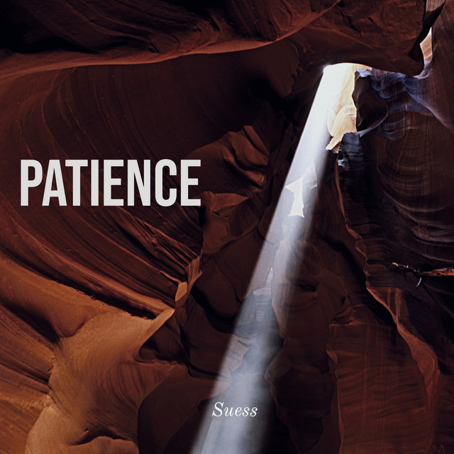 Patience - song and lyrics by Suess | Spotify