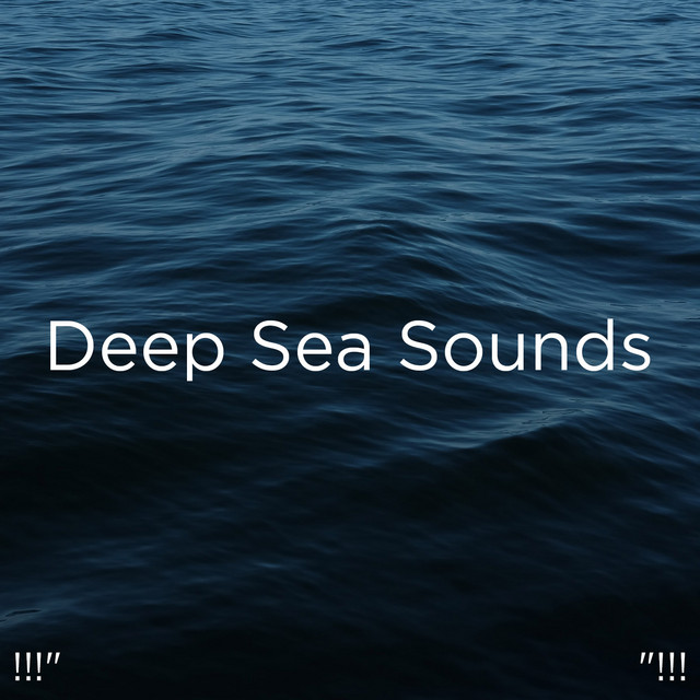 Deep Sea Sounds "!!! - Album by Ocean Sounds | Spotify