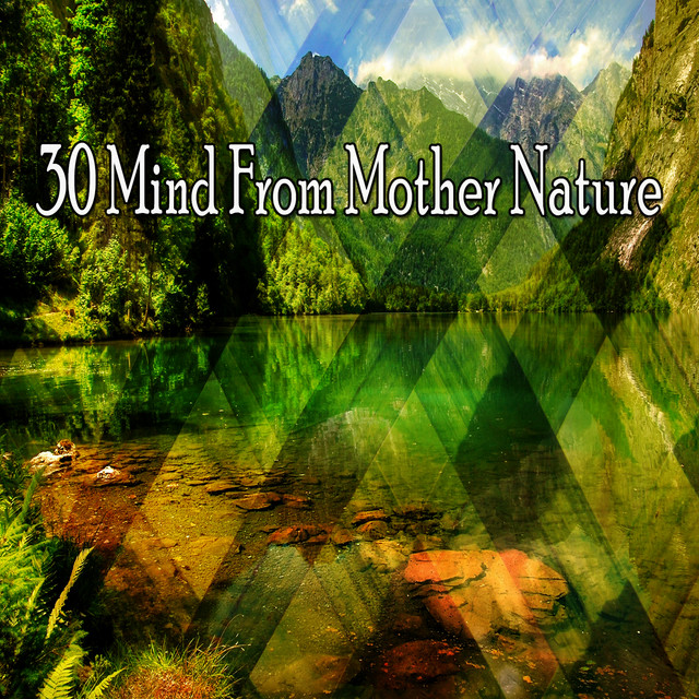 30 Mind From Mother Nature - Album by Forest Sounds | Spotify