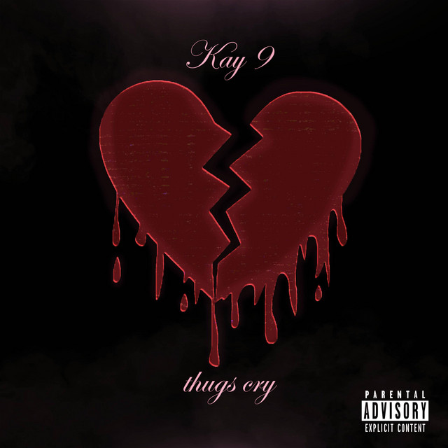 Thugs Cry - Single by Kay 9 | Spotify