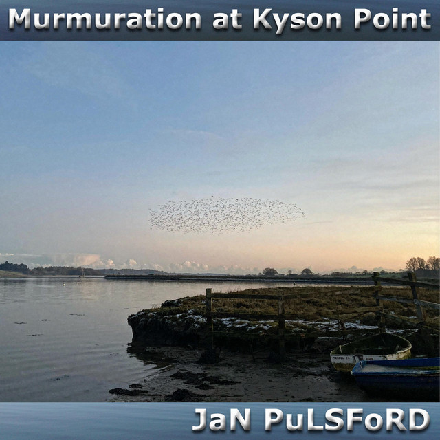 Murmuration at Kyson Point - Single by Jan Pulsford | Spotify