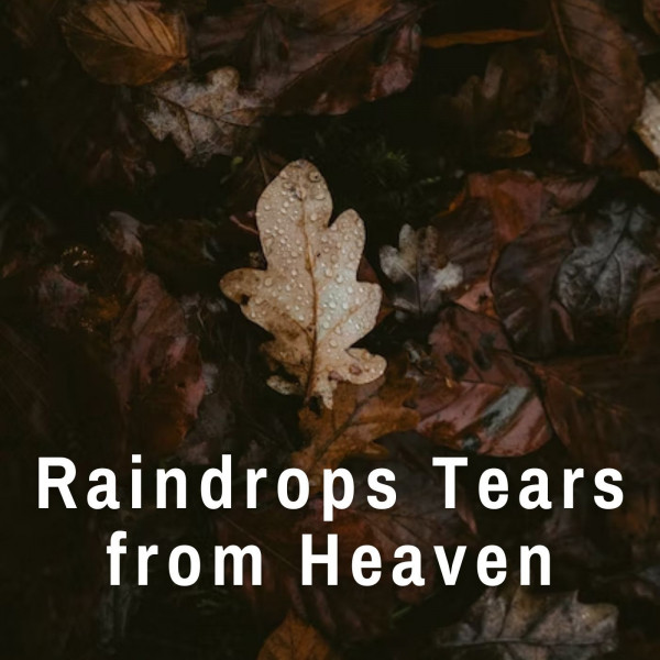Raindrops Tears from Heaven - Album by Gentle Yoga Music | Spotify