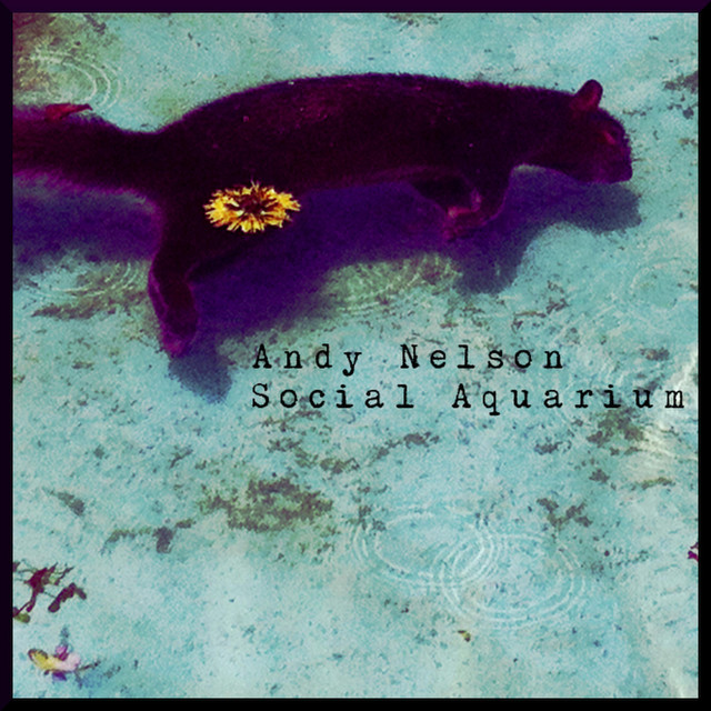 Old Apartment - song and lyrics by Andy Nelson | Spotify