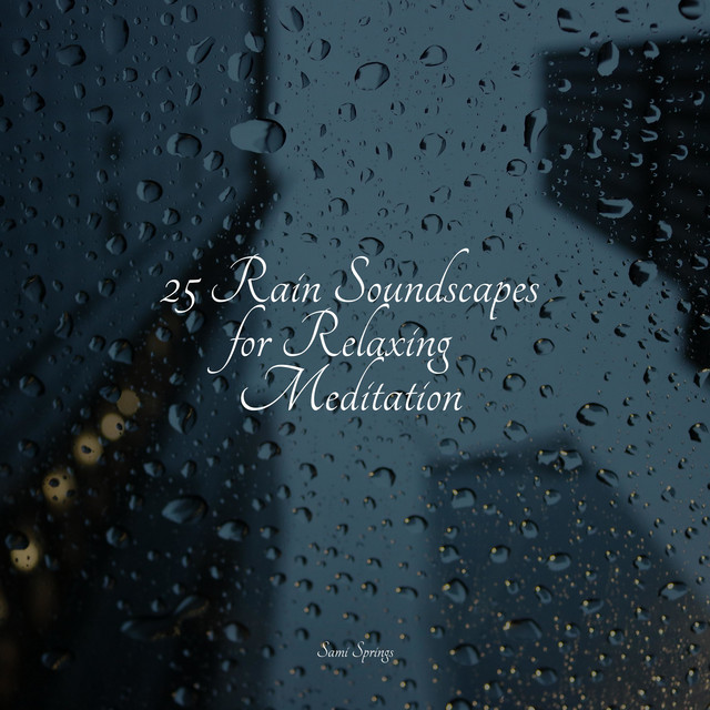 25 Rain Soundscapes for Relaxing Meditation - Album by Relajantes ...