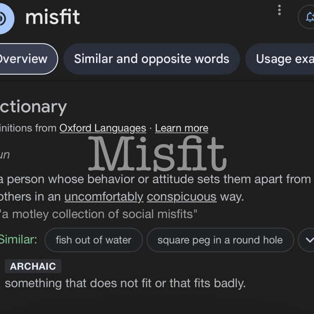 Misfit - Single by AVL | Spotify