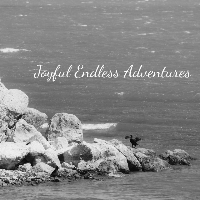 Joyful Endless Adventures - Album by Nellie Hines | Spotify