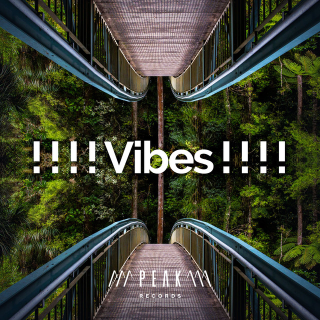 Vibes ! ! ! ! - Album by Nature Ambience | Spotify