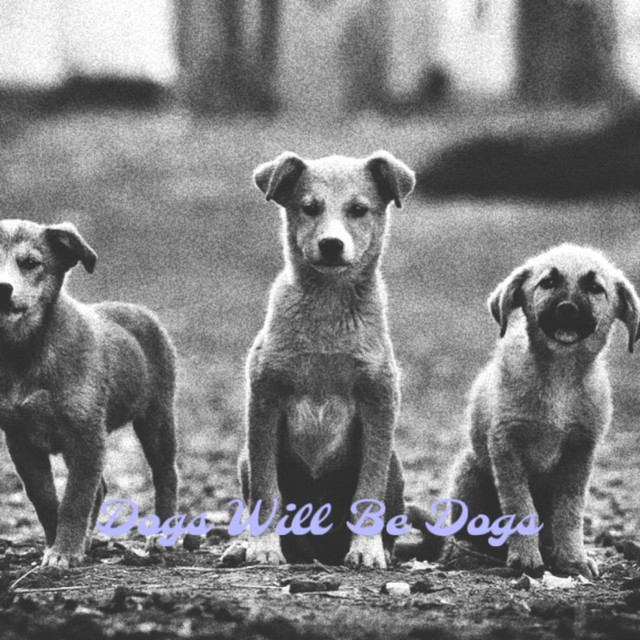 Dogs Will Be Dogs - Album by Chad Nathan | Spotify