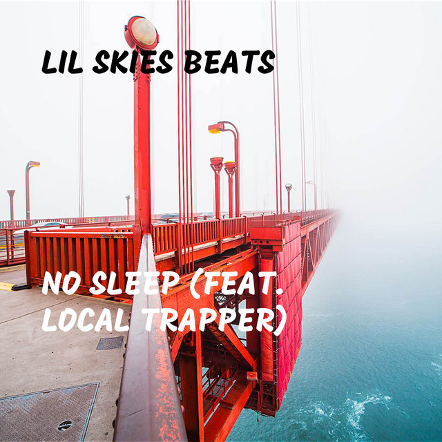 No Sleep - Single by Lil Skies Beats | Spotify