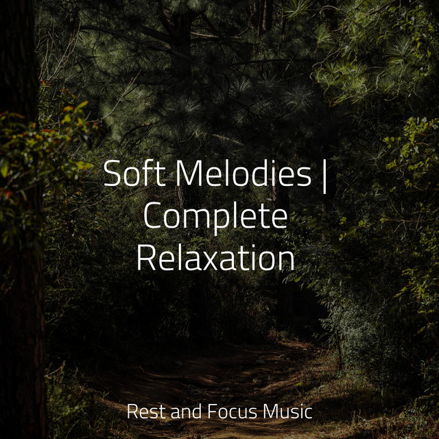 Soft Melodies | Complete Relaxation - Album by Spa & Spa | Spotify