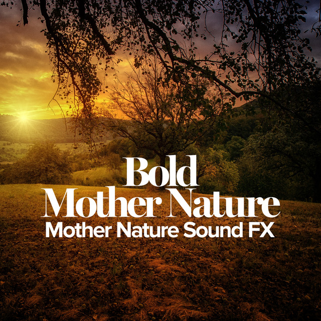 Bold Mother Nature - Album by Mother Nature Sound FX | Spotify