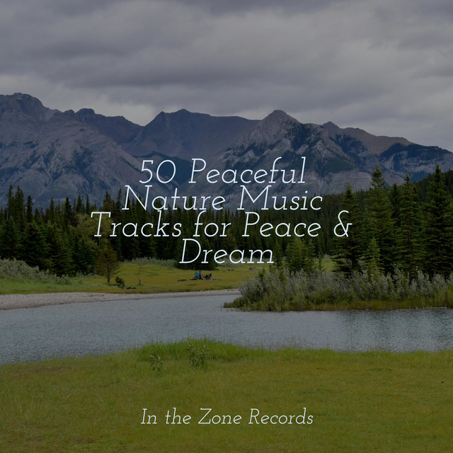 50 Peaceful Nature Music Tracks for Peace & Dream - Album by Lounge ...