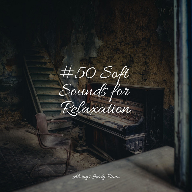 #50 Soft Sounds for Relaxation - Album by Relaxing Piano Jazz Music ...