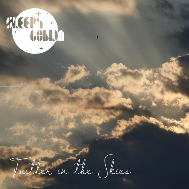 Twitter in the Skies - EP by Sleepy Goblin | Spotify