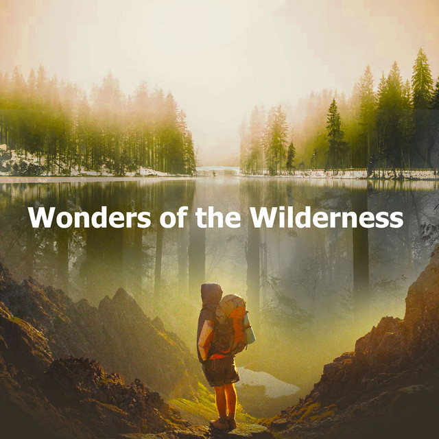 Wonders of the Wilderness - Album by The Wilderness | Spotify