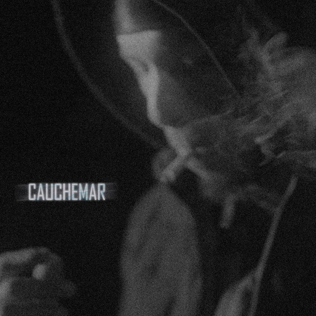 Cauchemar - Single by AVE | Spotify