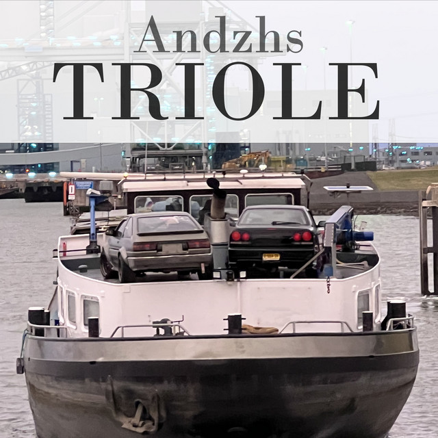 Triole - Single by Andzhs | Spotify