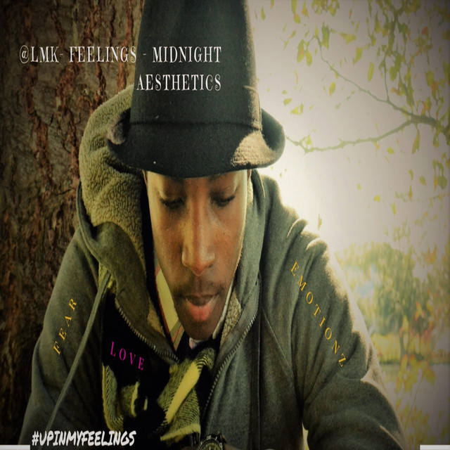 Feelings (Midnight Aesthetics) - Single by @LMK | Spotify