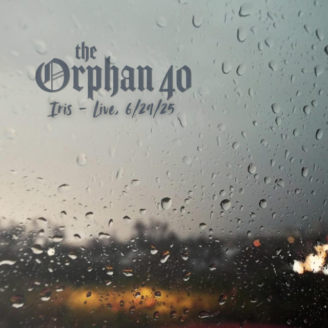 Iris - song and lyrics by The Orphan 40 | Spotify