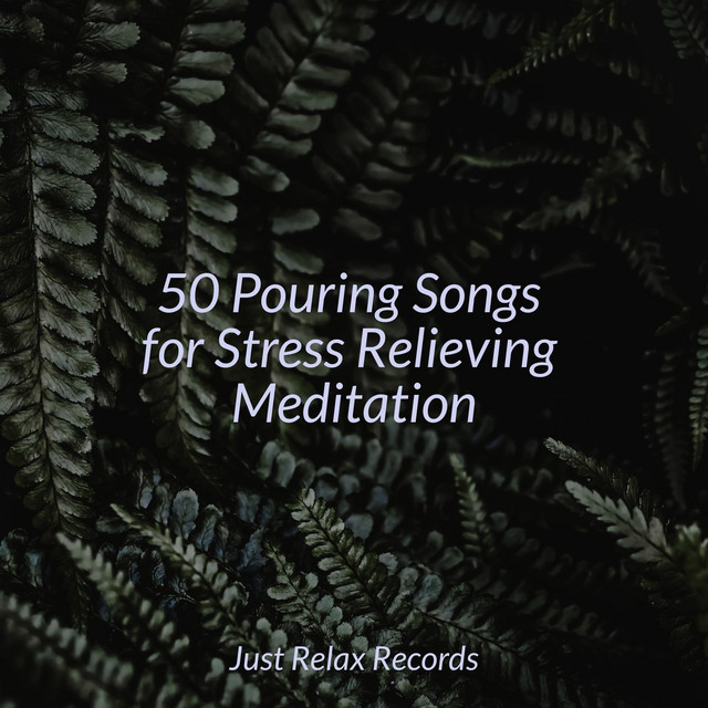 50 Pouring Songs for Stress Relieving Meditation - Album by Lullabies ...