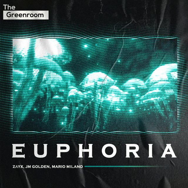 Euphoria - Single by Zayx | Spotify