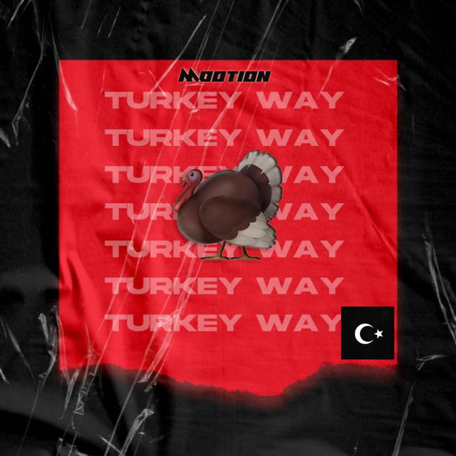 Turkey Way - Single by M00tion | Spotify