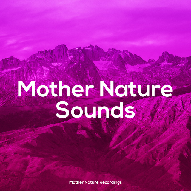 Mother Nature Sounds - Album by Mother Nature Recordings | Spotify