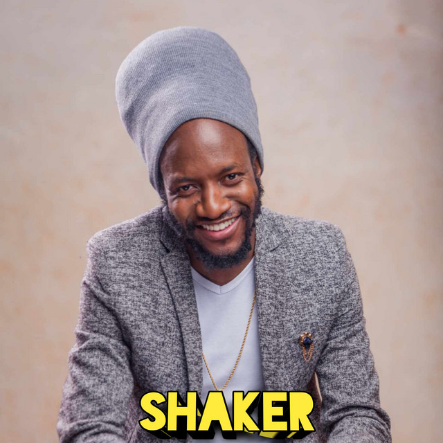Shaker - Single by Winky D | Spotify