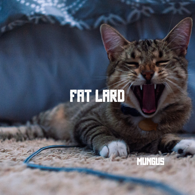 Fat Lard | Spotify