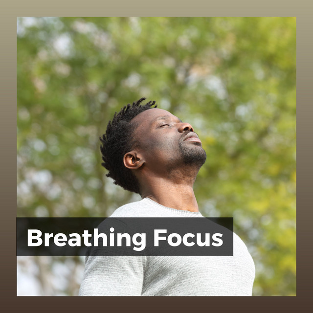 Breathing Focus - Album by ASMR Sleep Sounds | Spotify