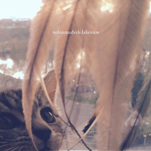 Lakeview - Album by Nolan Medvek | Spotify
