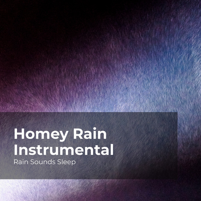 Homey Rain Instrumental - Album by Rain Sounds Sleep | Spotify