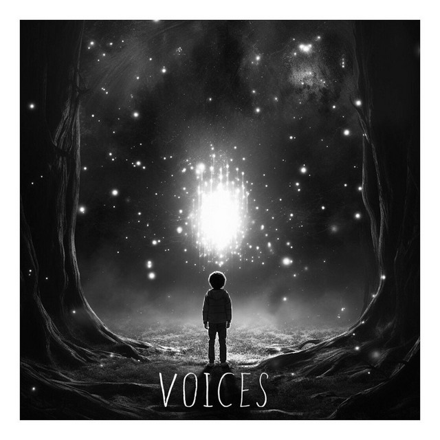 Voices - song and lyrics by Flauwher | Spotify