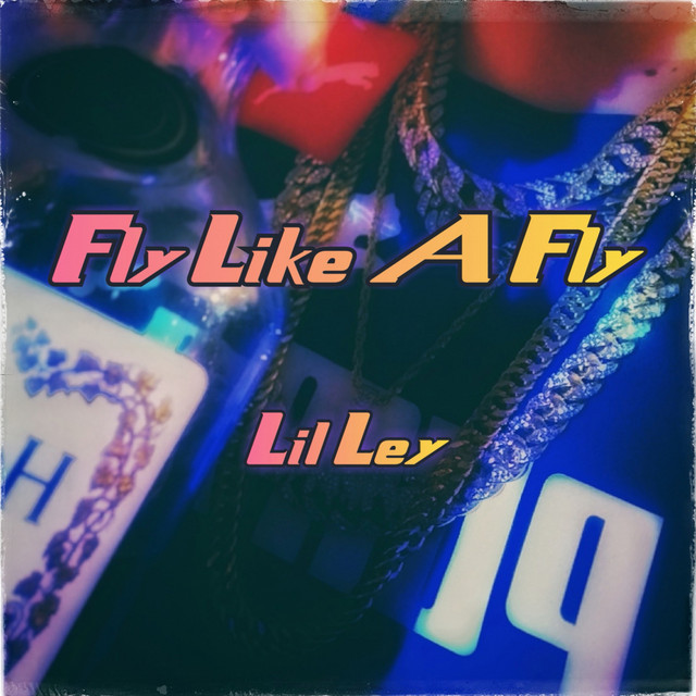 Fly Like A Fly - Single by Lil Ley | Spotify