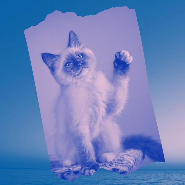Music for The Happy Cats - Magnificent Jazz Guitar Solo - Album by ...